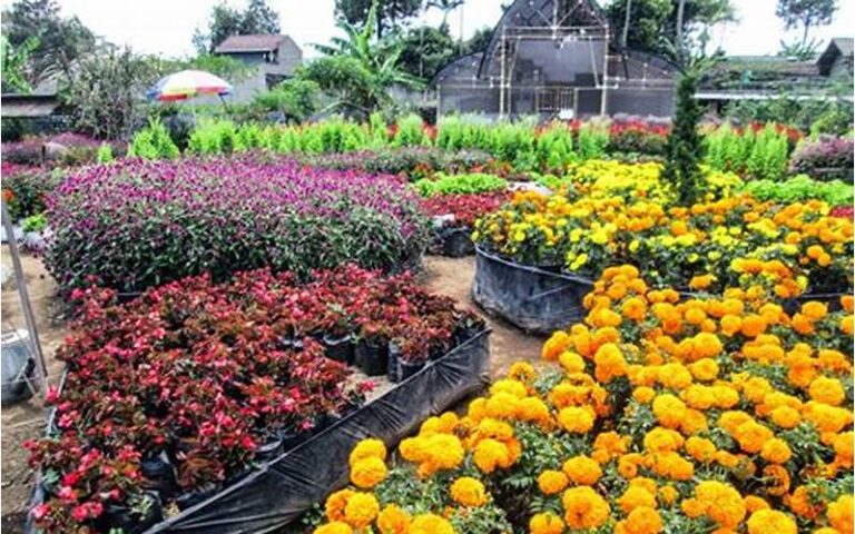 Tempat Wisata Di Ujung Berung: Menikmati Keindahan Alam Bandung Timur ...