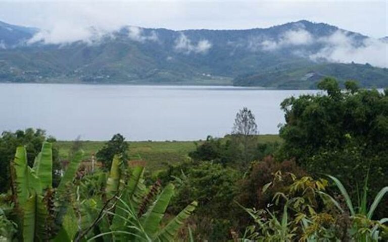 Tempat Wisata Alahan Panjang: Pesona Eksotis Di Tengah Hutan - Trend Wisata