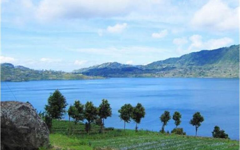 Tempat Wisata Alahan Panjang: Pesona Eksotis Di Tengah Hutan - Trend Wisata